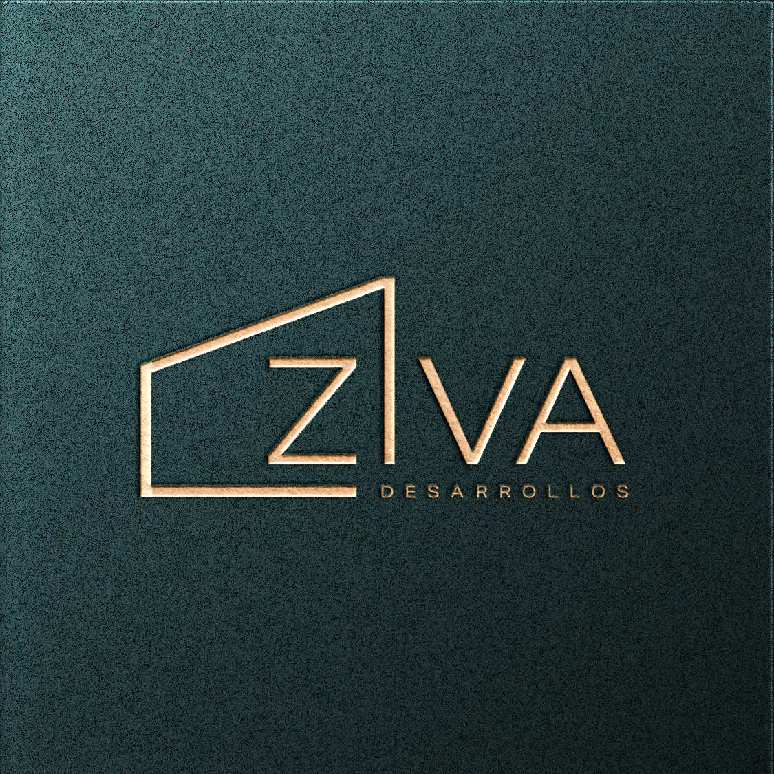 Inicio - Ziva Desarrollos